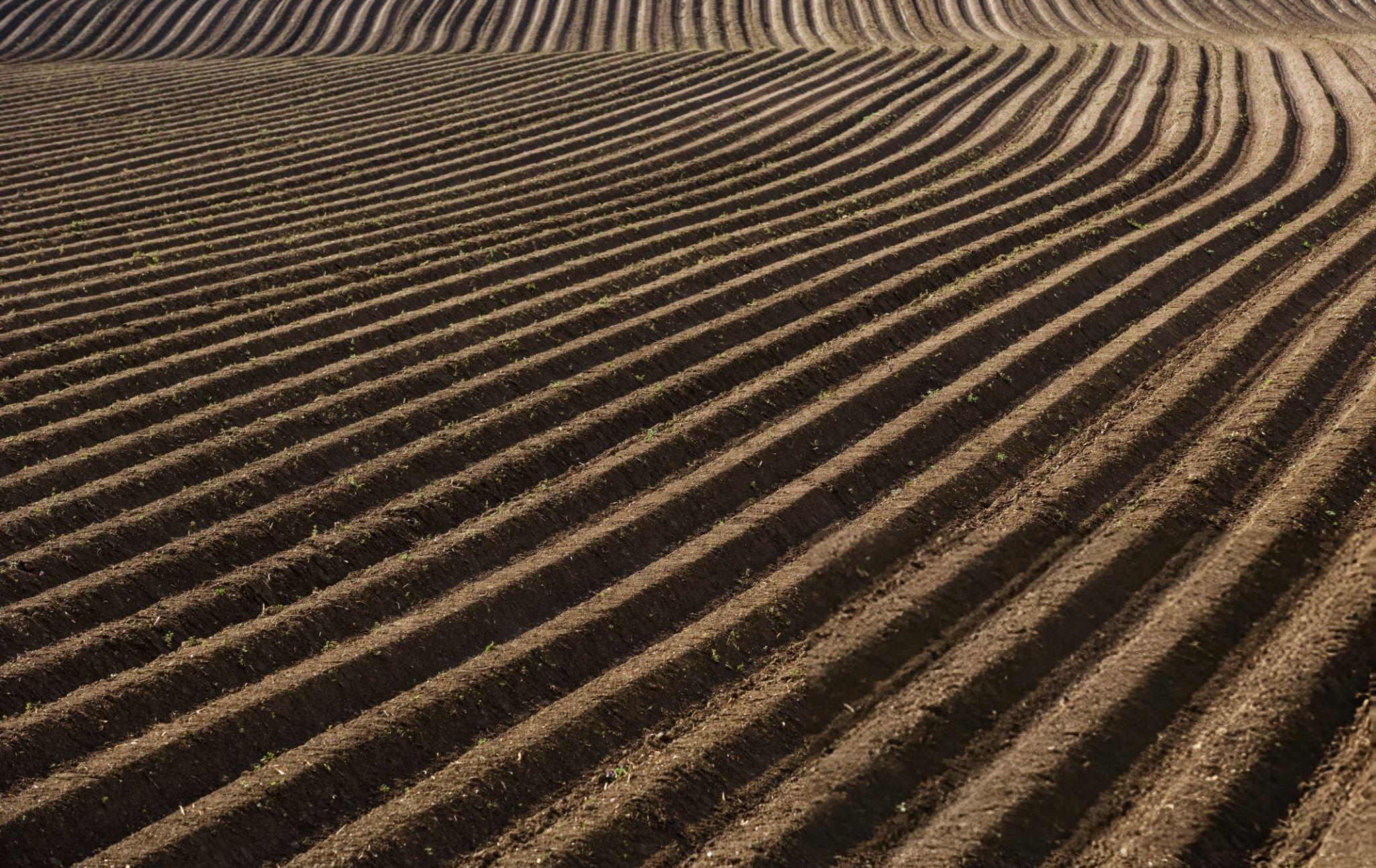 The 3 Success Pillars of Change Management: Customization, Competency ...